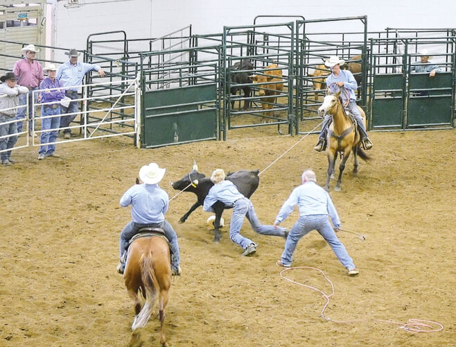 Ranch Rodeo rustles up the spotlight at ND State Fair | News, Sports ...